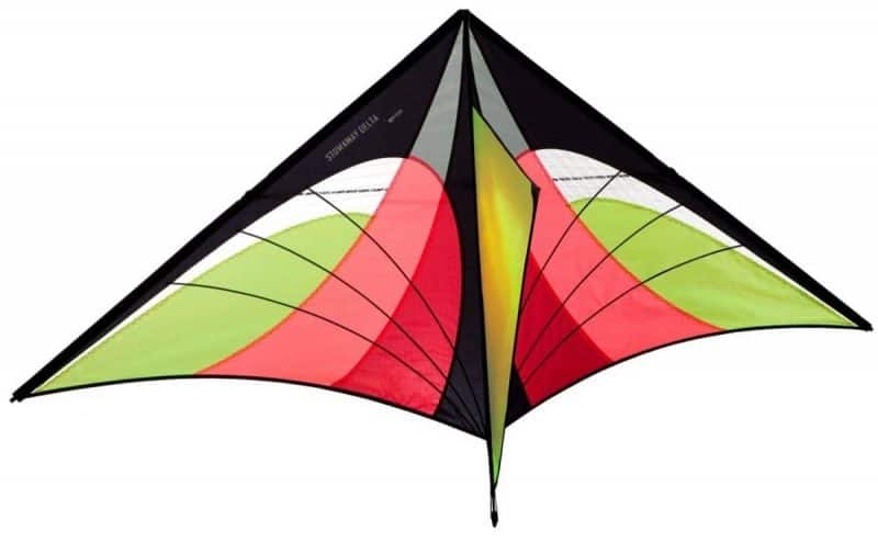 Best Kites for Kids 2022: Help Them Fly High - LittleOneMag