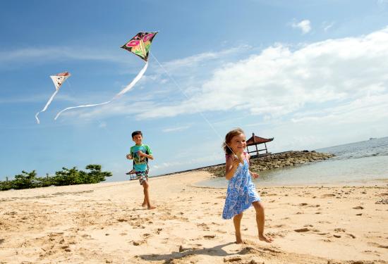 Best Kites for Kids 2022: Help Them Fly High - LittleOneMag
